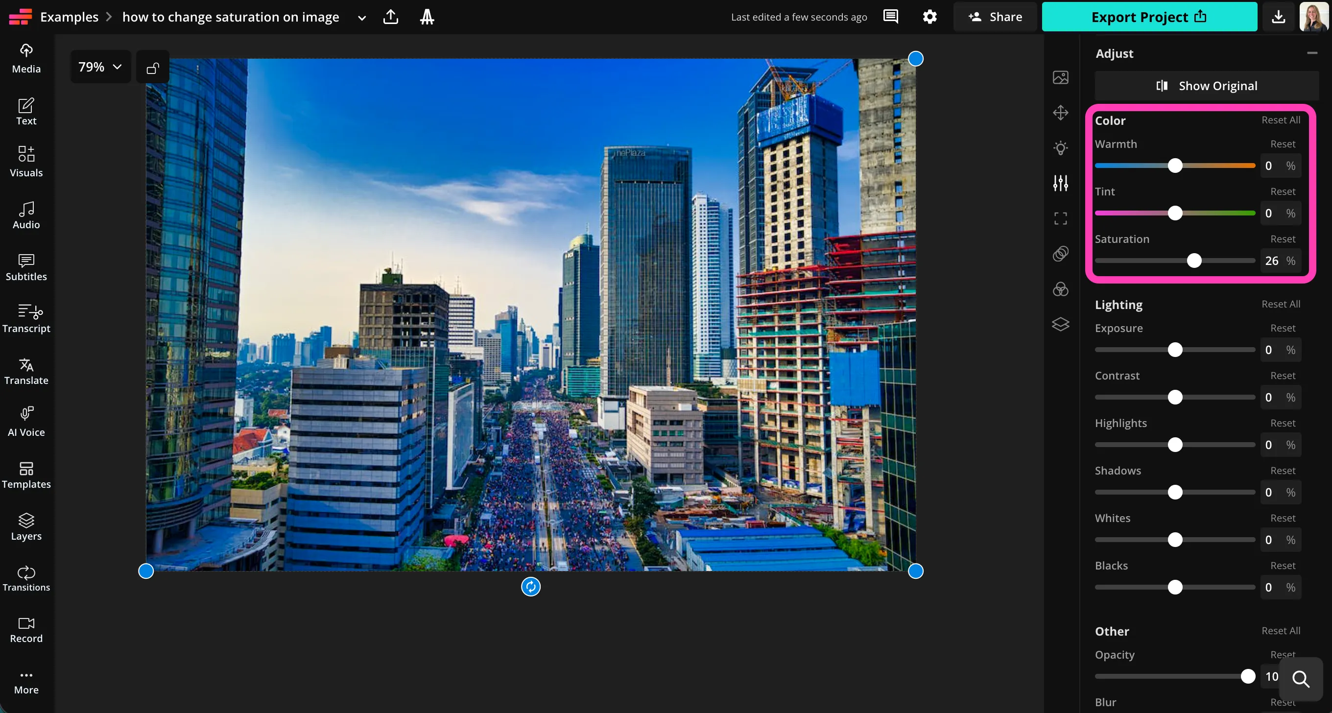 Saturate Image — Change Photo Saturation Online