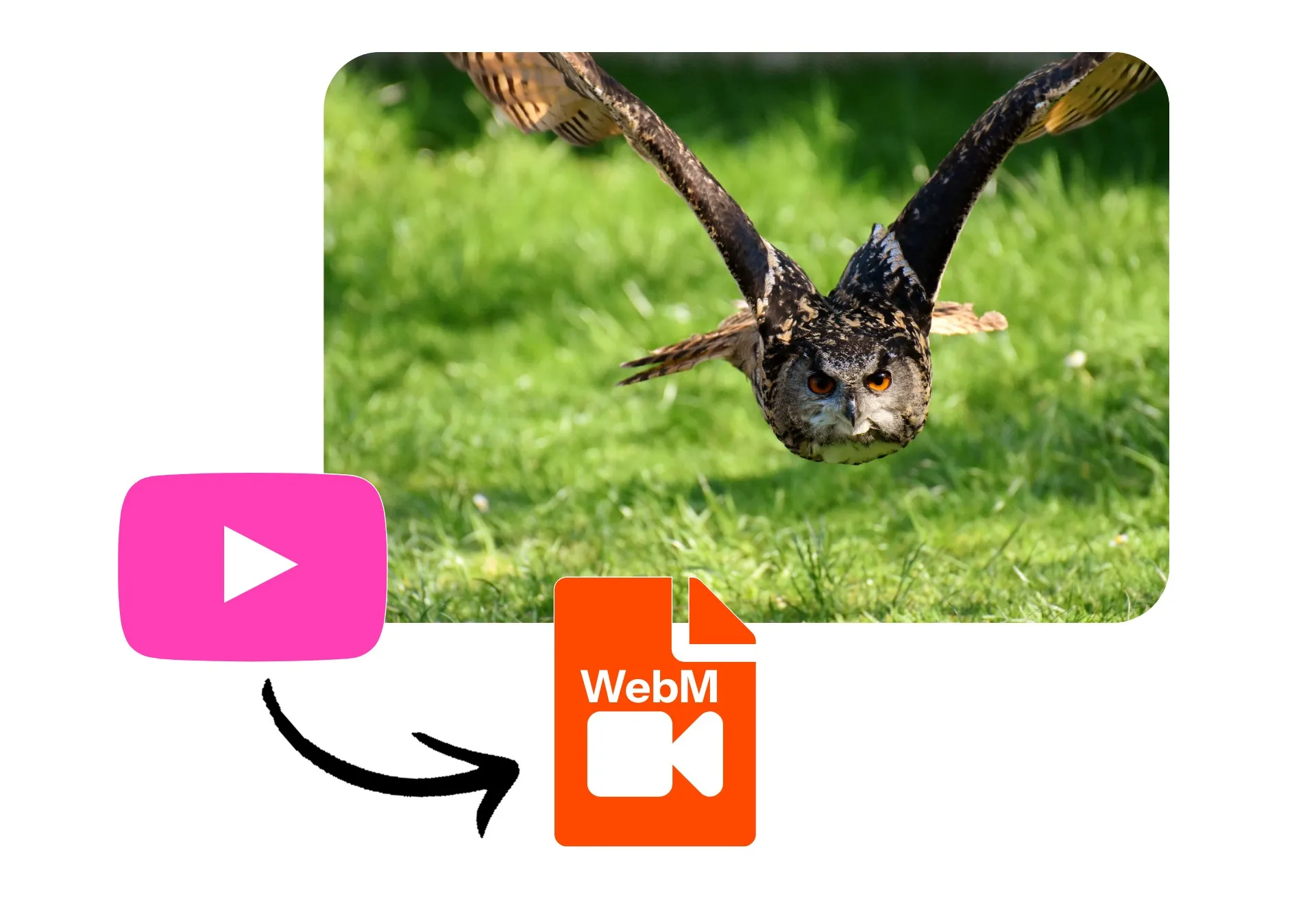 I-convert ang YouTube to WebM — Online File Changer