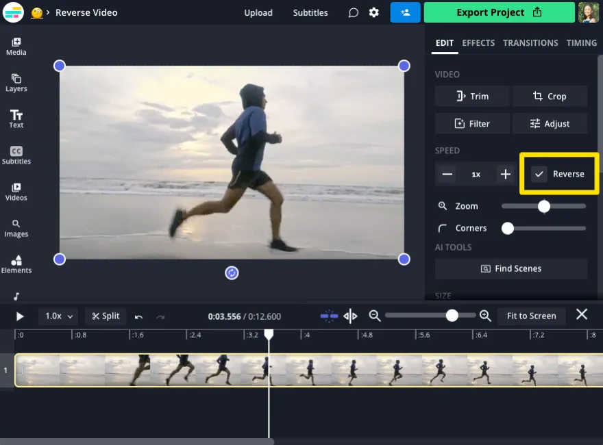 Reverse Video Online Play Video Backwards Kapwing