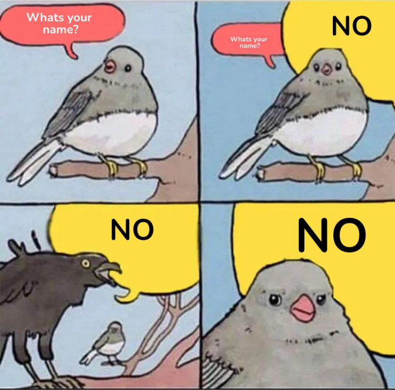 Funny Crow Memes Baby You Want Sum Fuk? Lemme Smash Crow Bird Meme"