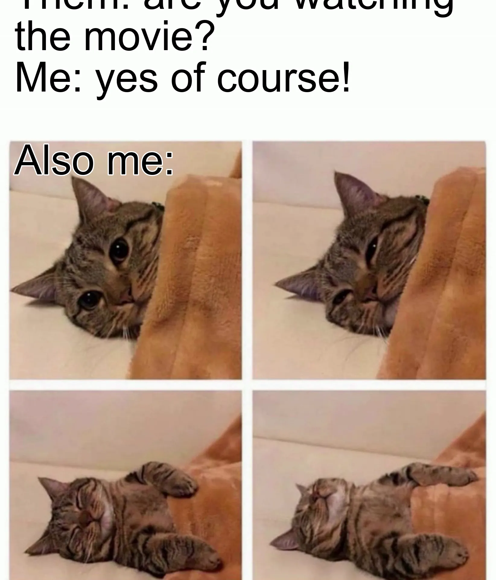 Funny Tired Cat Memes Cat Memes: 29 Cats Working Hard At Their Jobs