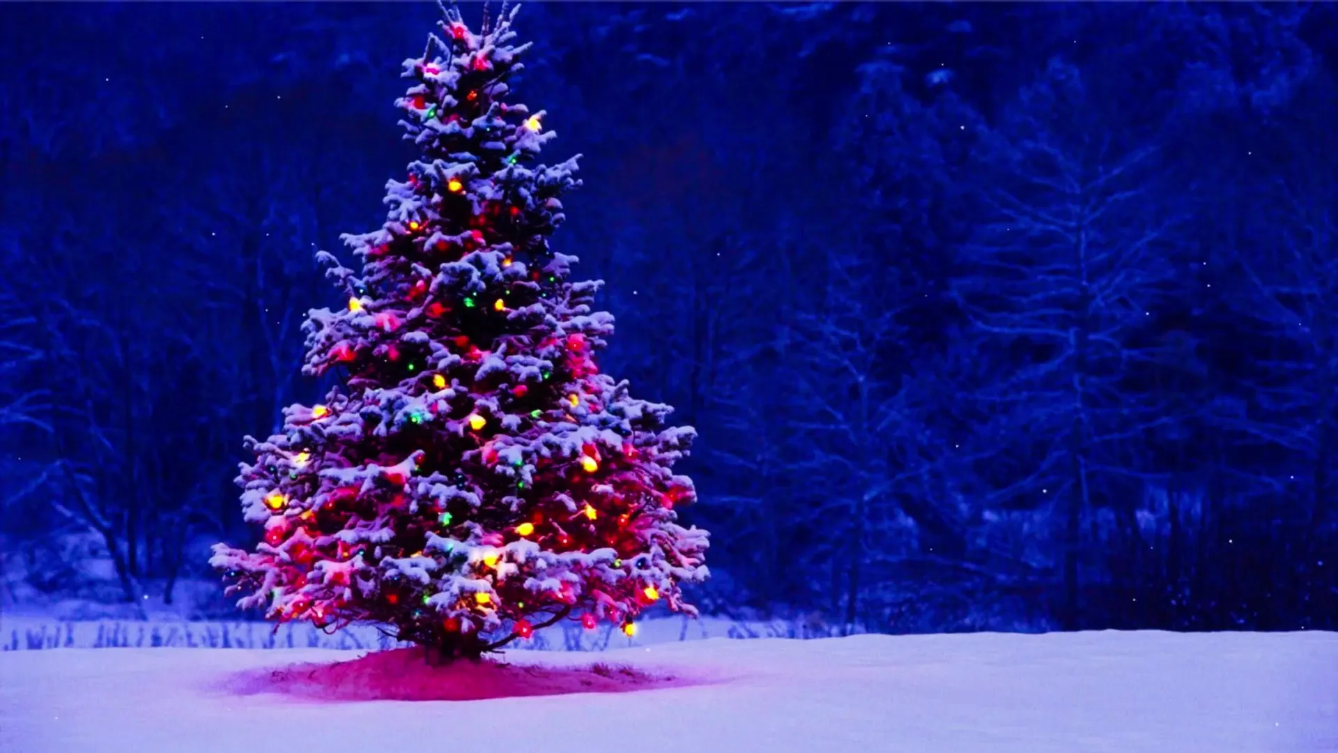 Christmas virtual background store