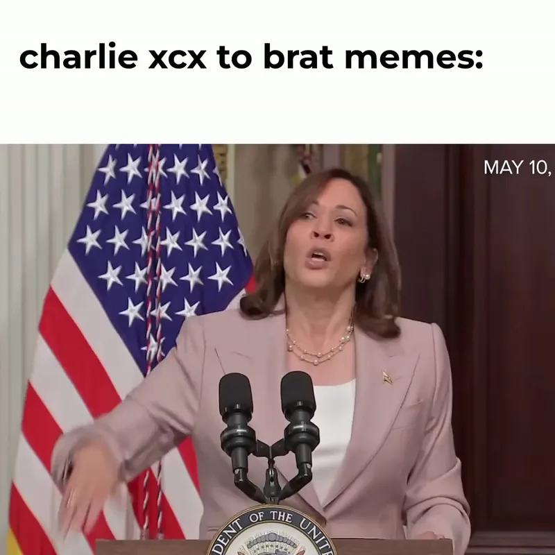 Coconut Tree Video Meme Template — Kapwing