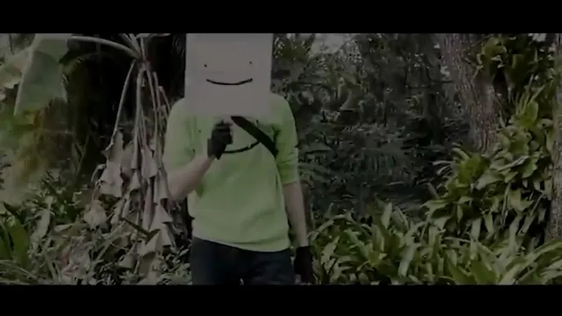 Fake Dream Face Reveal Video Meme — Kapwing