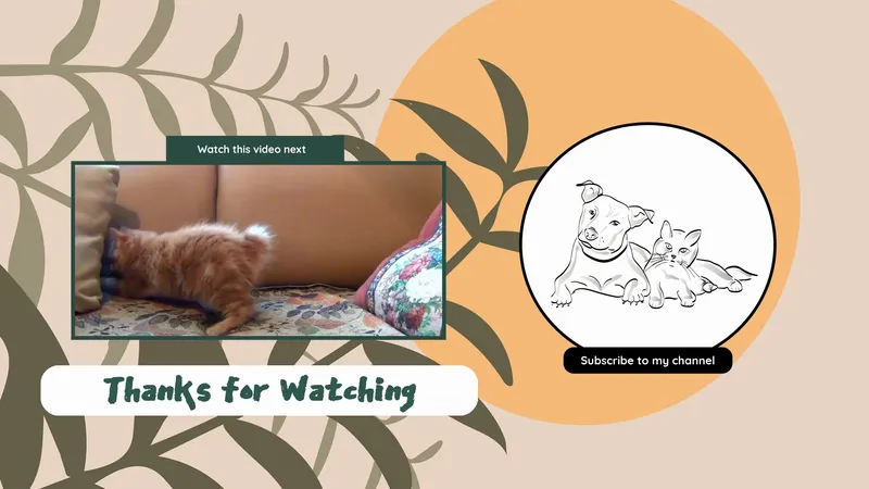 Green Leaves and Yellow Circle Outro Template — Kapwing