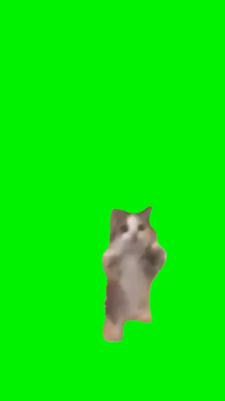 Happy Happy Happy Cat Dancing Green Screen Video Meme Template — Kapwing