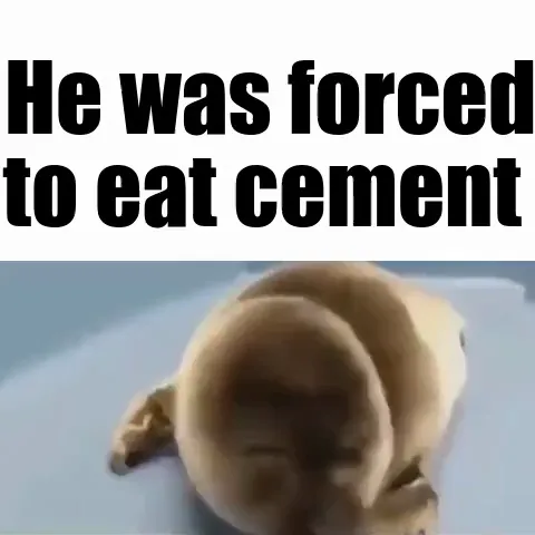 He Was Forced To Eat Cement Crying Seal Meme Template — Kapwing