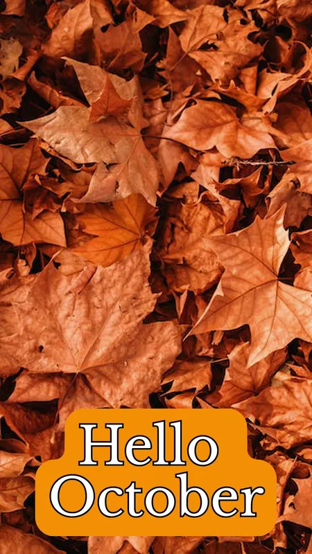 Hello October Meme Template (October 1st Meme) — Kapwing