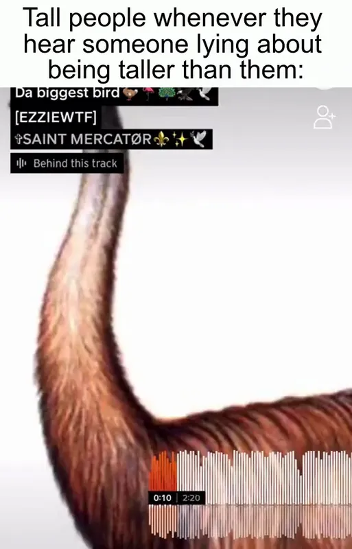 I'm Da Biggest Bird Audio / Video Meme — Kapwing