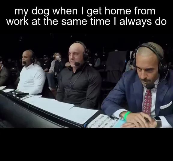 Joe Rogan Reaction Meme Template — Kapwing