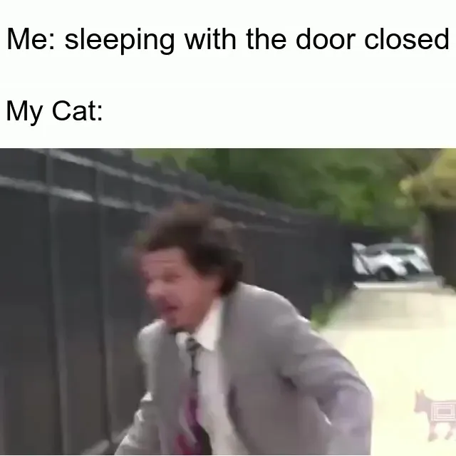 Let Me In Video Meme Maker — Kapwing