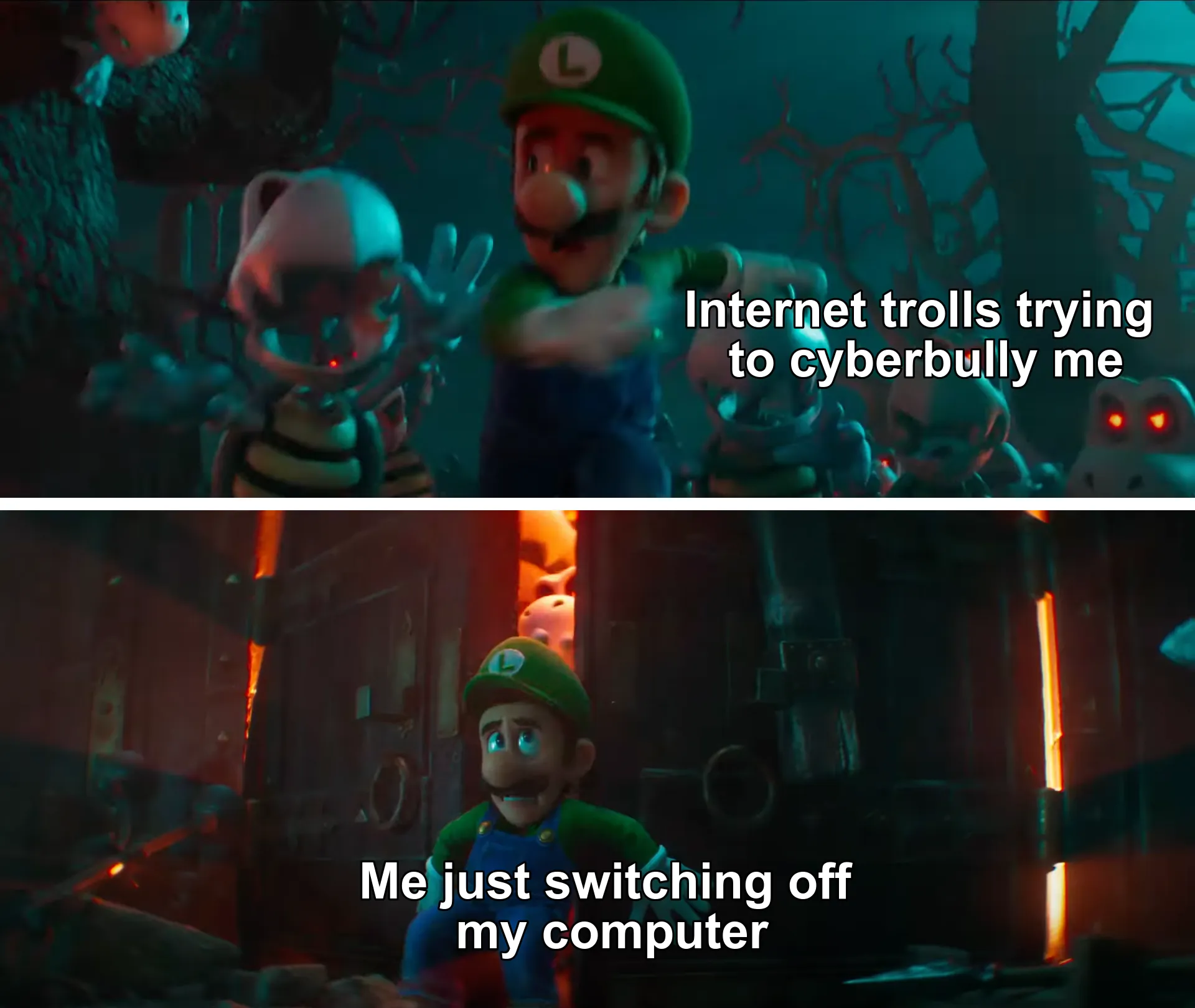 Dry Mario And Dry Luigi