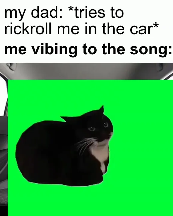 Maxwell the Cat Green Screen Video Meme Template — Kapwing