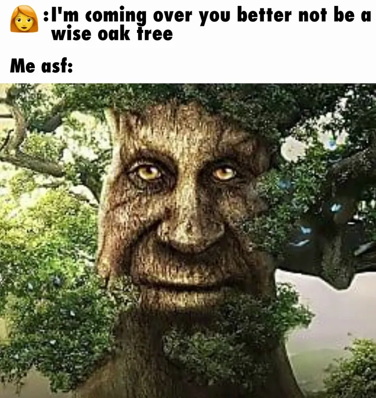 Must-Play Tree / Wise Oak Tree Meme — Kapwing