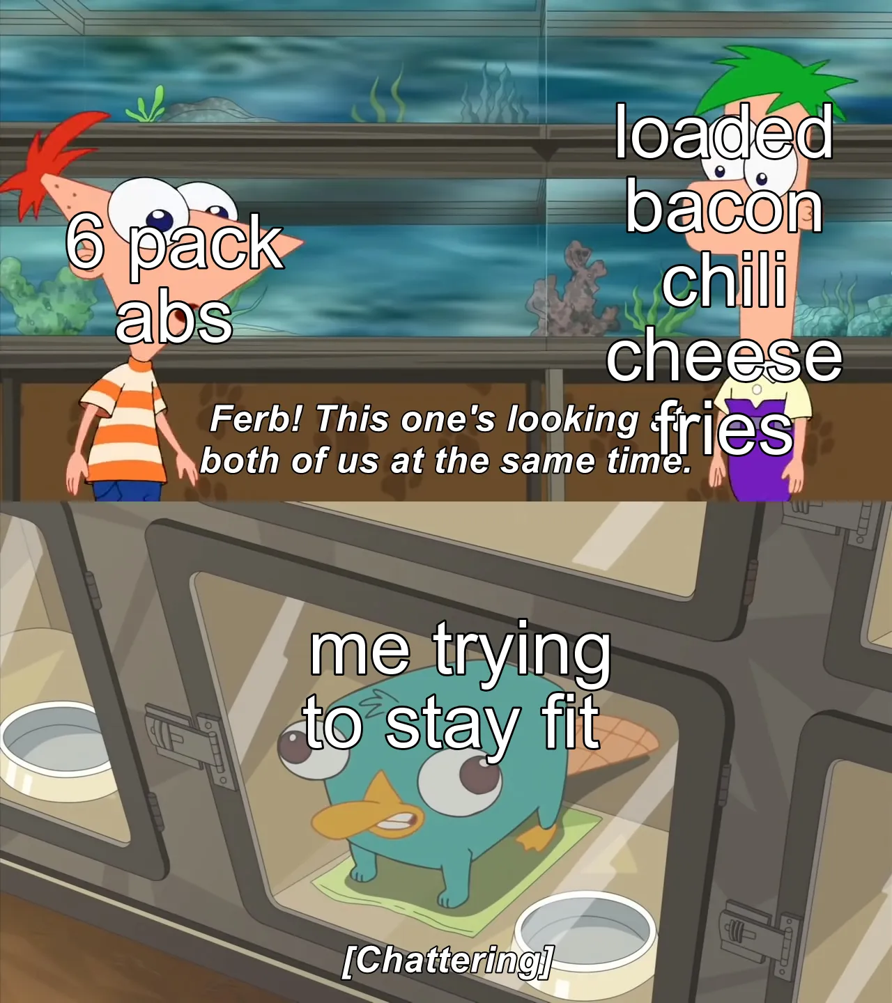 Perry Platypus Memes