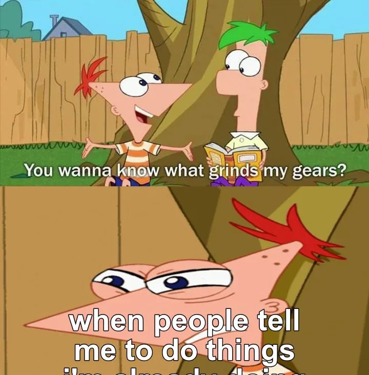 Phineas Memes