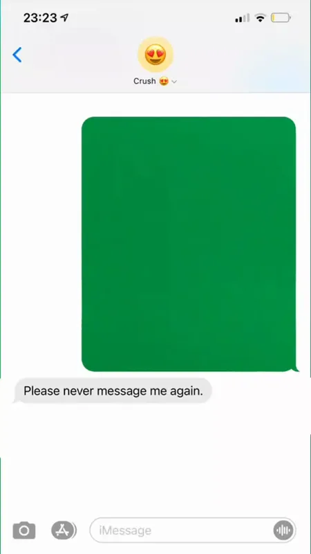 Please Never Message Me Again Green Screen Video Template — Kapwing