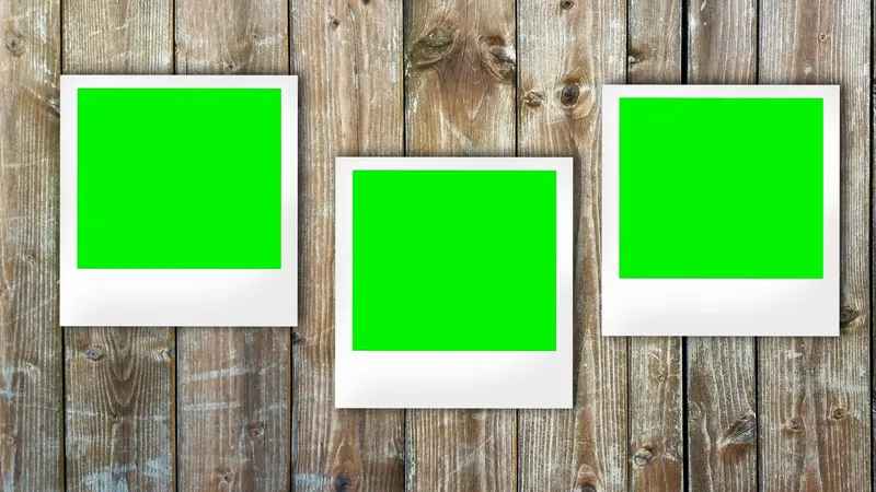 Polaroid Green Screen Template — Kapwing