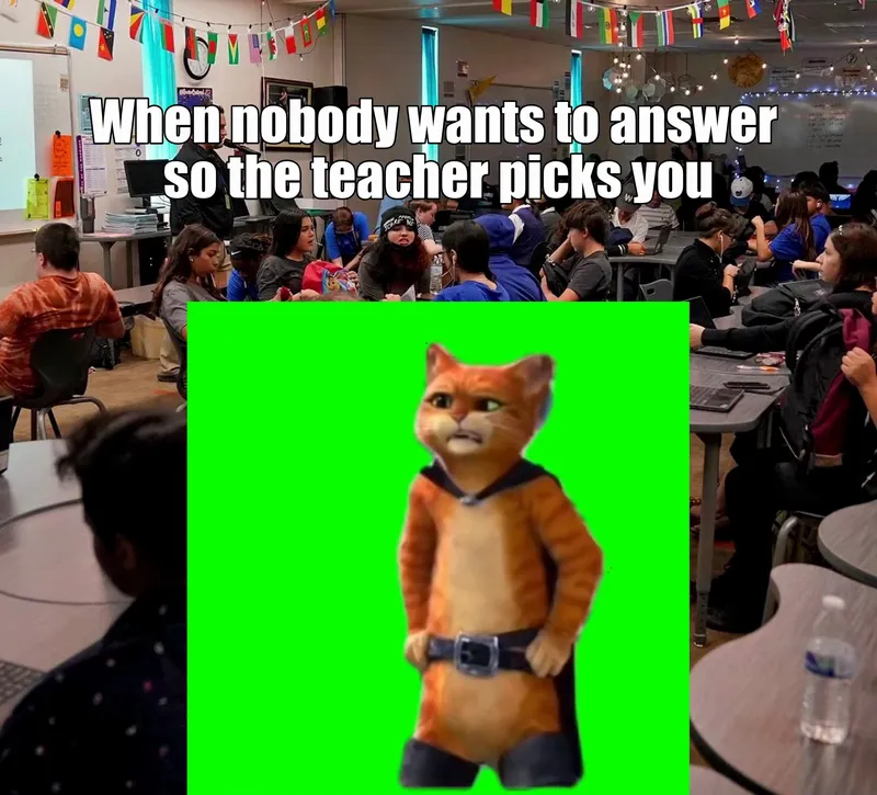 Puss in Boots "I'm Not Really a Math Guy" Green Screen Meme — Kapwing