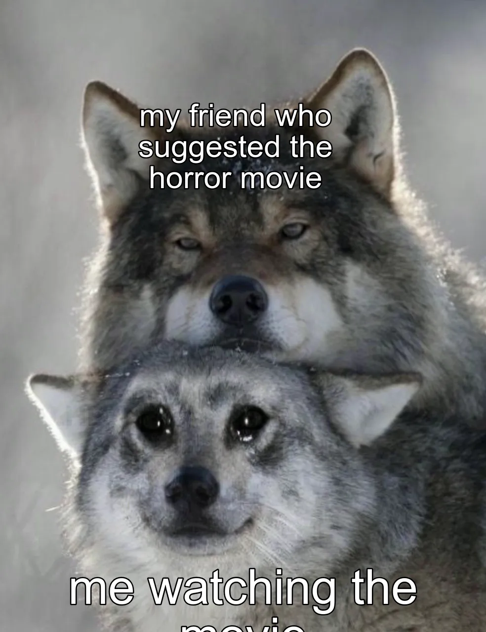 Cry Wolf Memes Wat Is De Oorsprong Van Die Meme Van Die Huilende