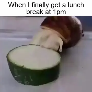 Snail Eating Cucumber Video Meme Maker — Kapwing