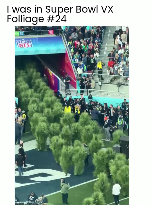 Super Bowl Bushes Meme Template — Kapwing