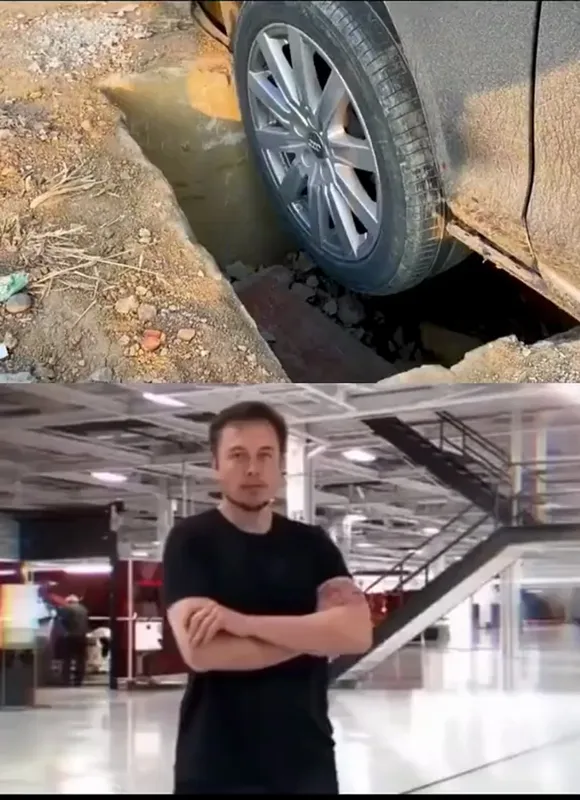 This is Elon Musk Video Meme Template — Kapwing