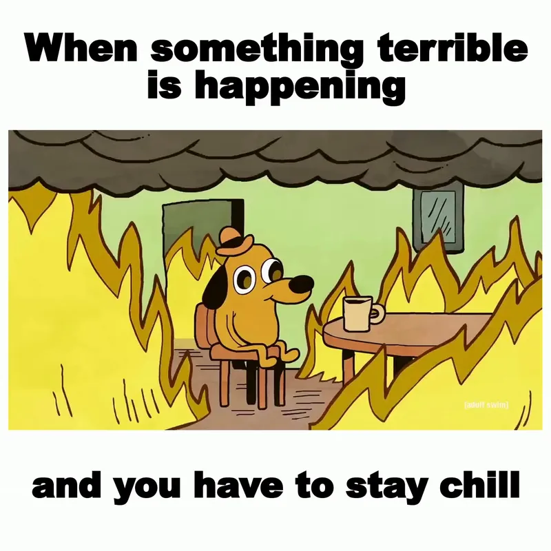 Dog Meme This Is Fine This Is Fine Dog On Fire Meme 3D Model 3D