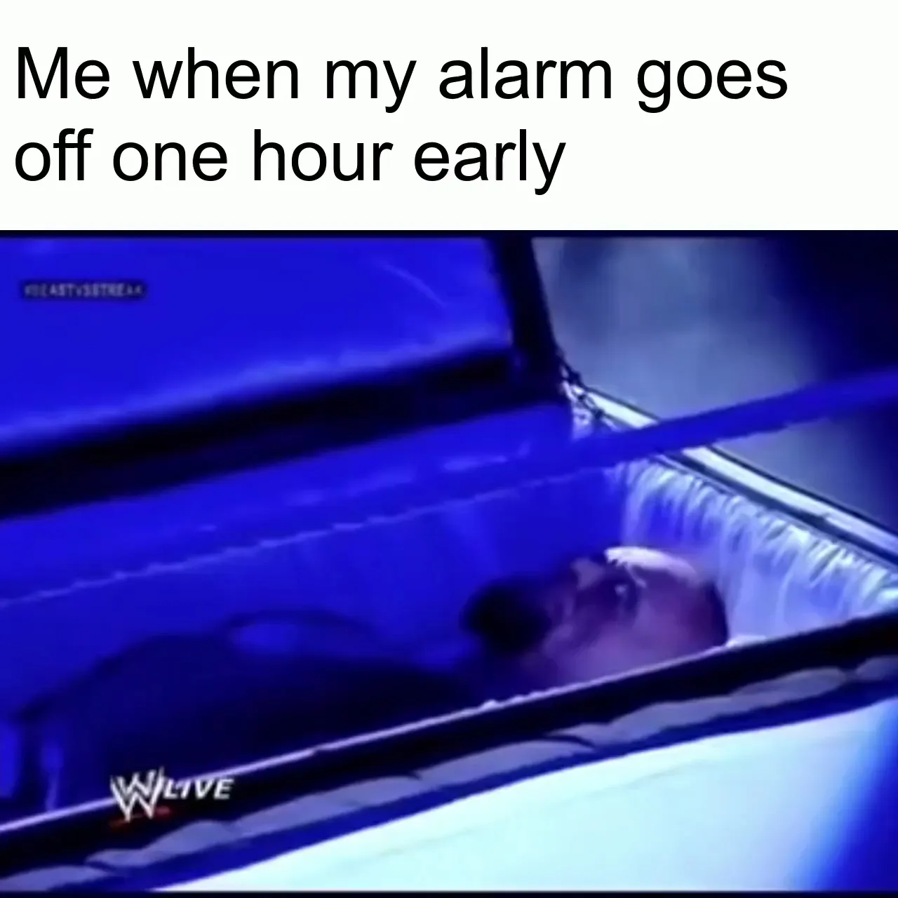 Undertaker Wwe Meme